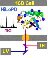 News in Proteomics Research: Double laser dissociation in the HCD cell ...