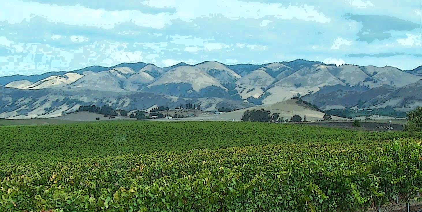 The Egg & Eye Gallery