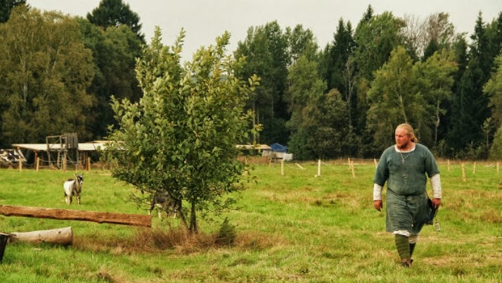 Rural Revolution: Six months in the Middle Ages