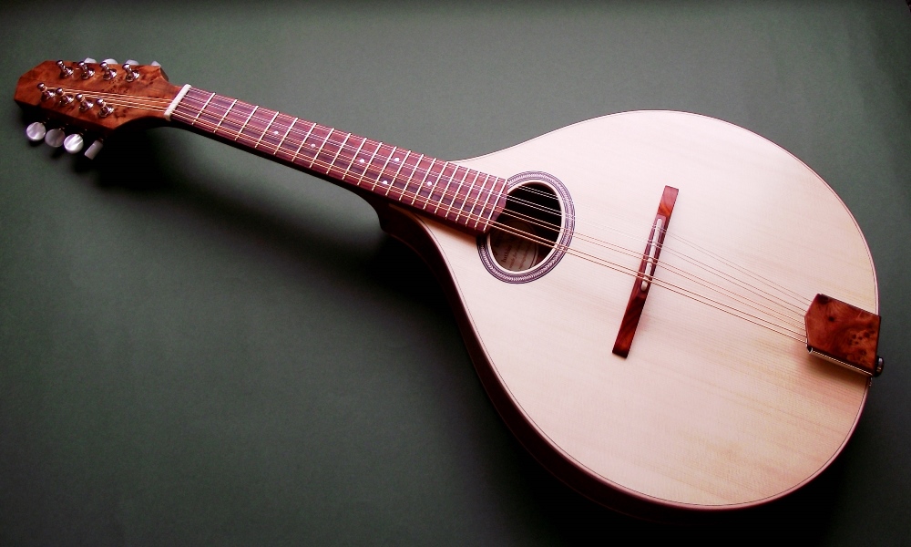 A Luthier's Blog: John's completed mandolin