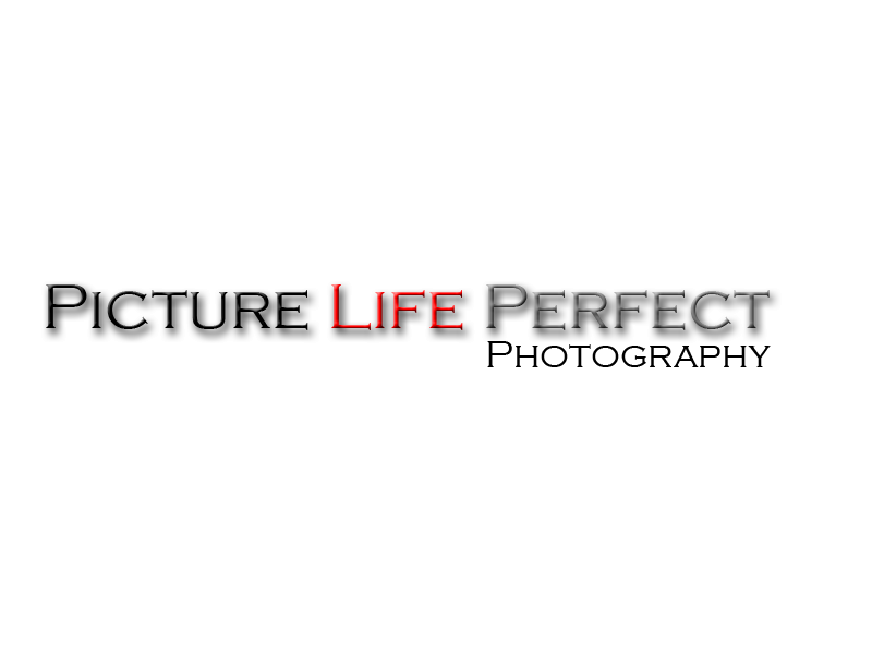 Just Reflecting: Picture Life Perfect Photography ~ Interviews