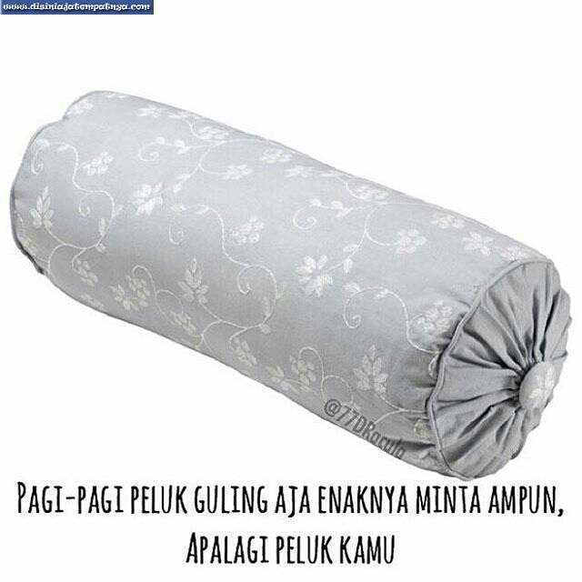 Pagi-pagi peluk guling ~ Meme Lucu Dan Gambar Inspirasional