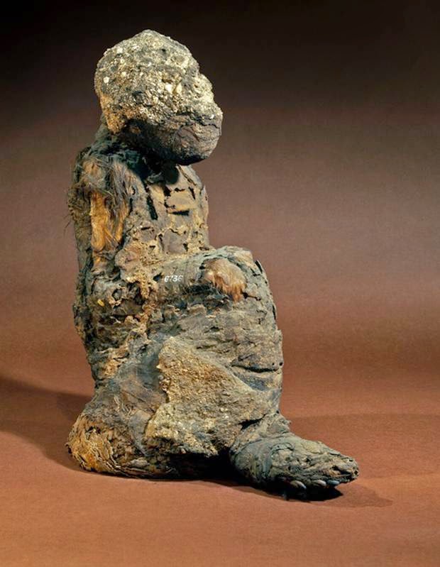 ANTINOUS THE GAY GOD: A MUMMIFIED BABOON LEADS EXPERTS TO THE LOCATION ...