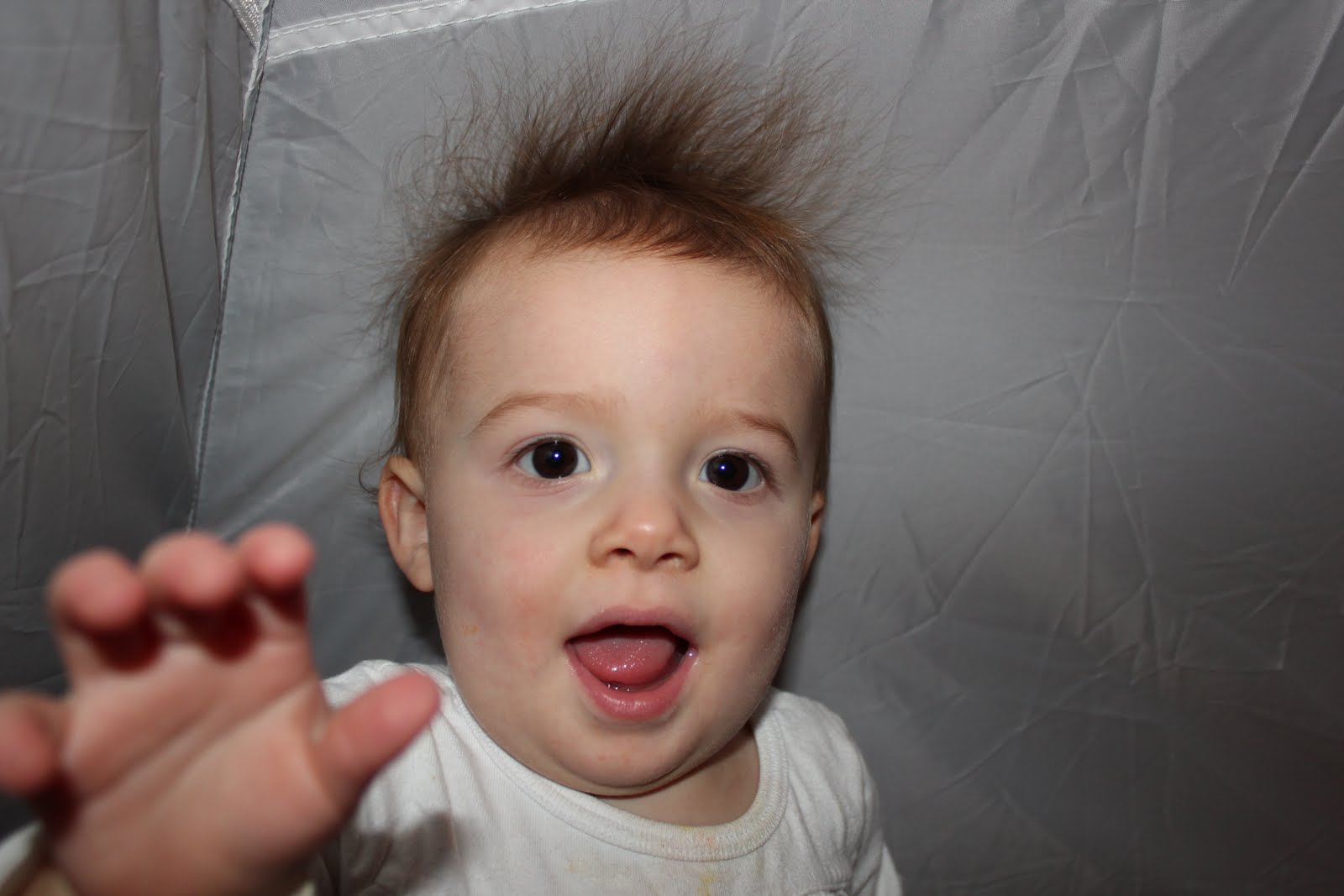 The Zook Family: Silly Static Hair