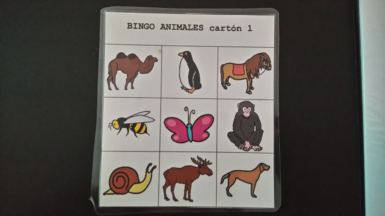 Bingo de animales