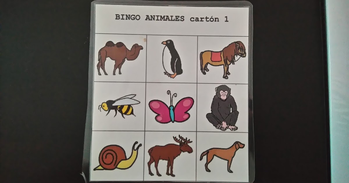 Bingo de animales