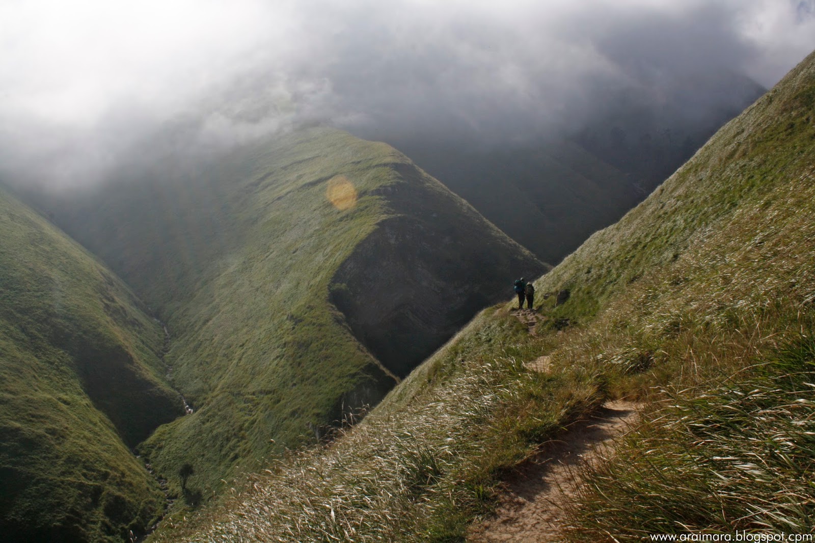 araimara: Irati, isiltasunaren basoa / Irati, el bosque del silencio