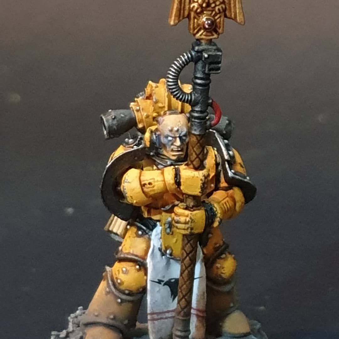 A Galaxy In Flames: Imperial Fists Librarian