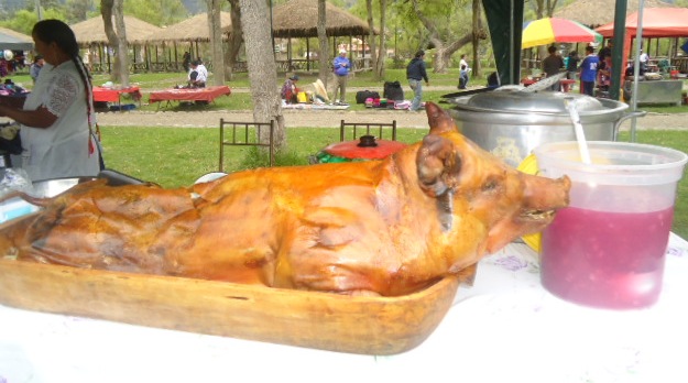 TURISMO EN PAUTE: GASTRONOMIA