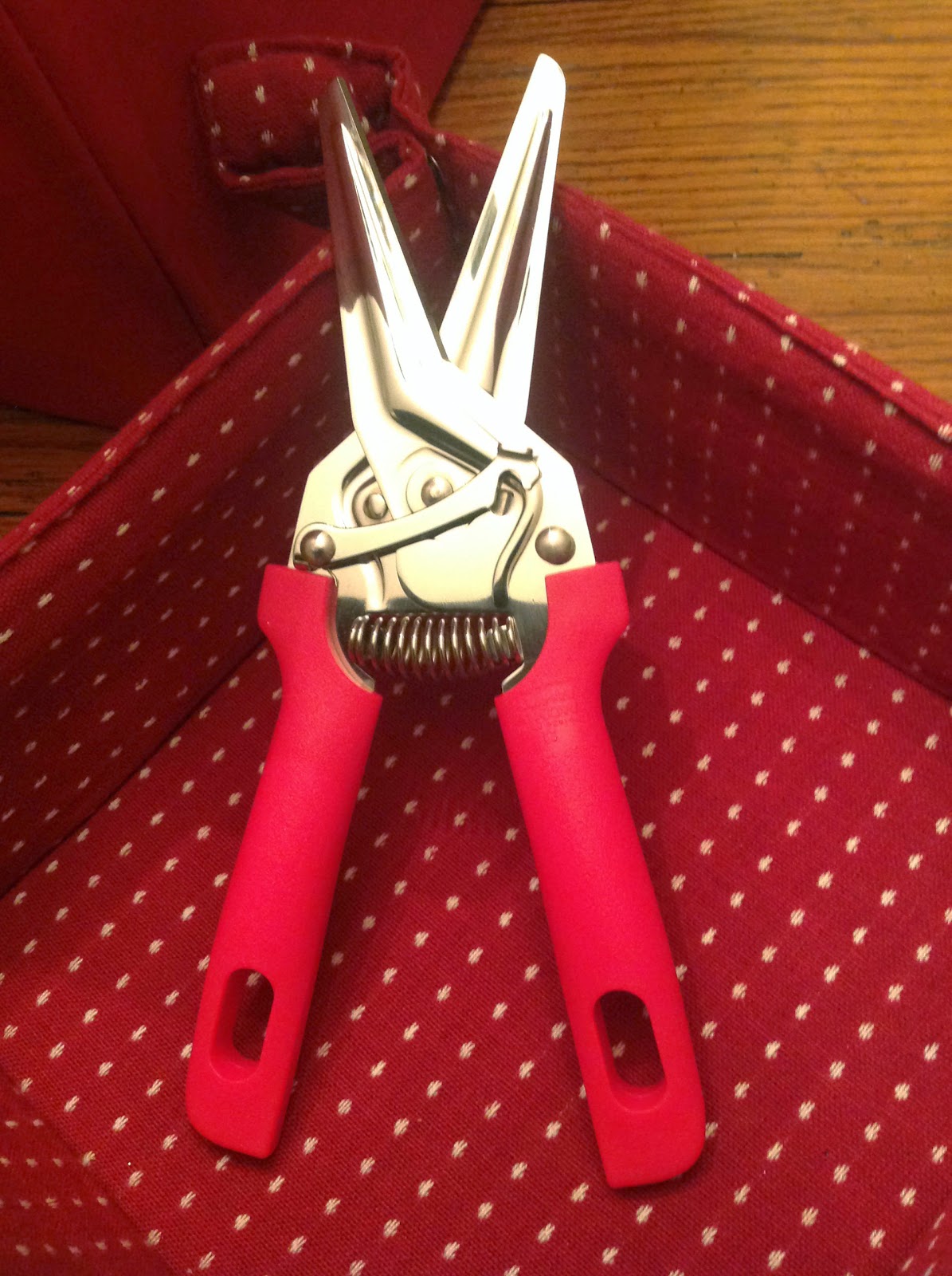 Go Ahead... Take A Bite!: Giveaway Package Number Two!