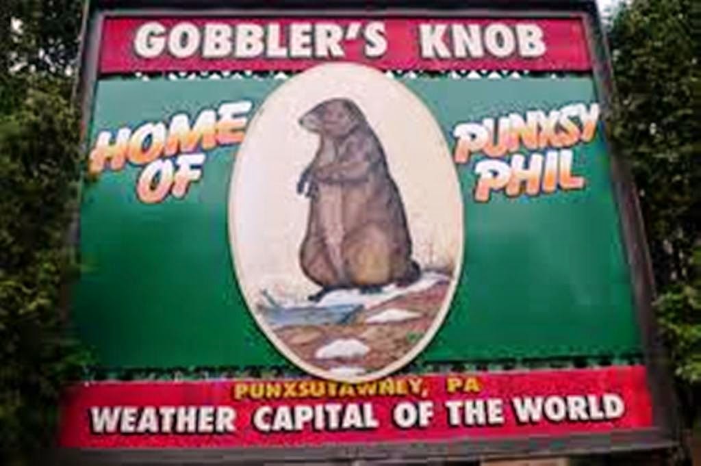 Punxsutawney Phil : photos of at gobblers nob