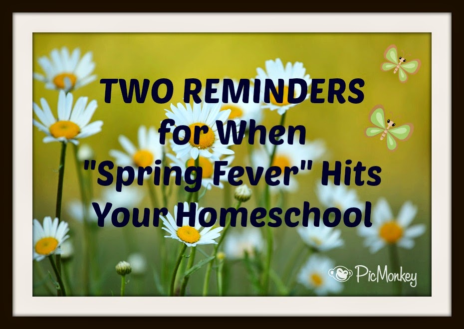 SONset Academy: Two Reminders for when "Spring Fever" Hits