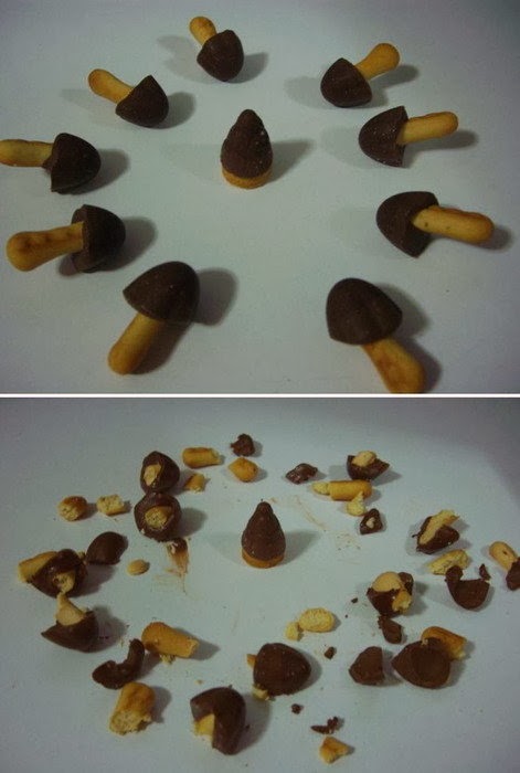 Kinoko Takenoko War - Foodie Japan