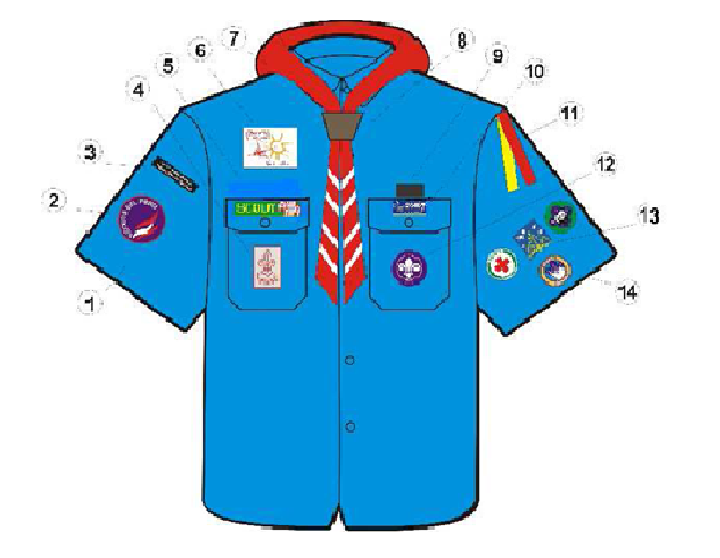 Grupo Scout Bellavista 279: TROPA- MANUAL DE INSIGNIA