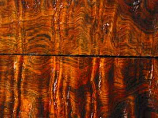 JACARANDÁ (ROSEWOOD) - O REI DA LES PAUL