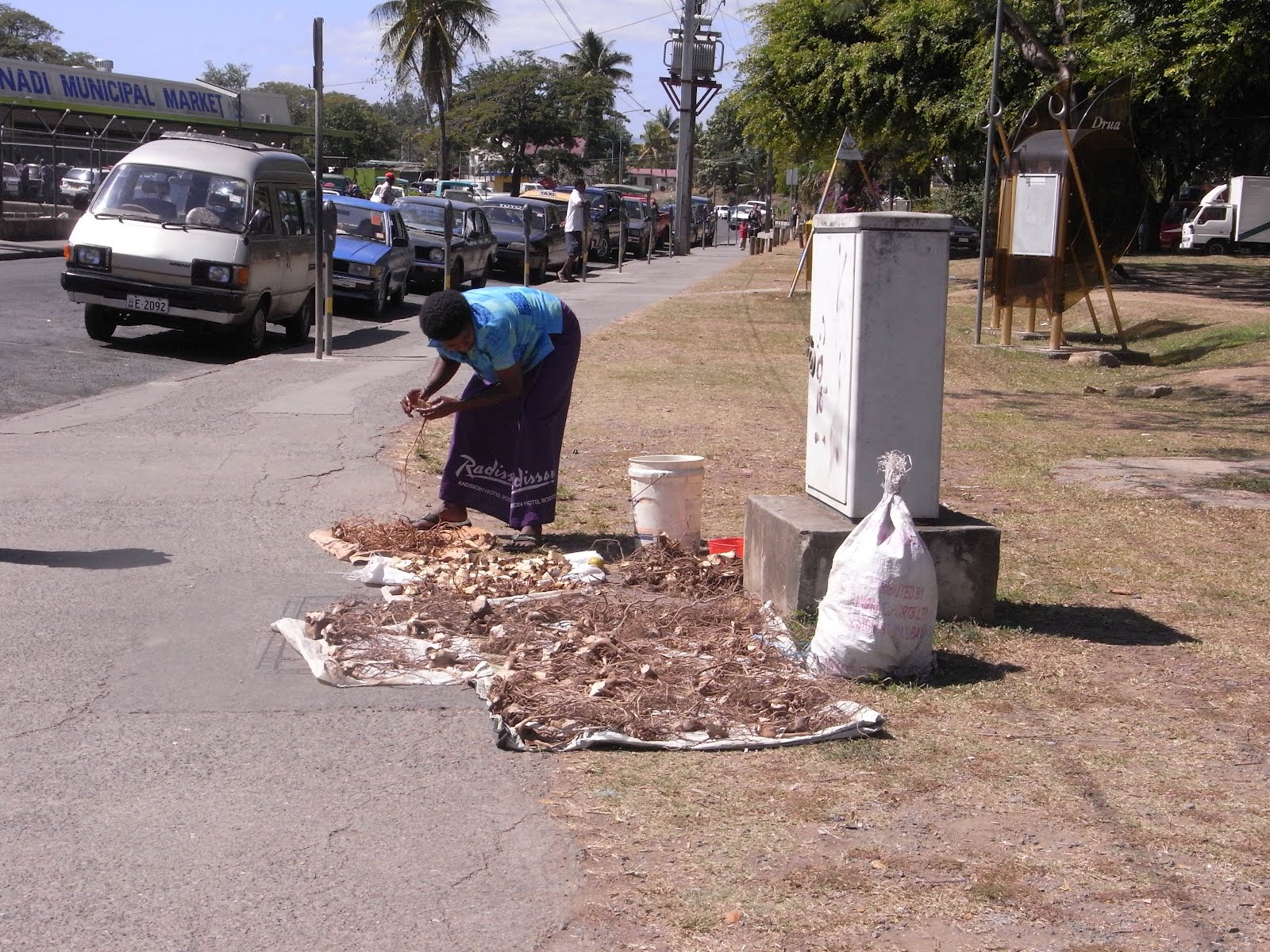 Memie write: Bula Fiji ! August 2010