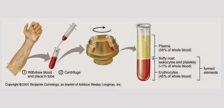 Komponen - Komponen Darah Manusia - Pasien Sehat