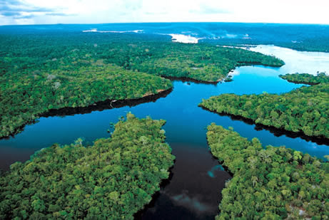Amazon River, South America [11 Pic] ~ Awesome Pictures