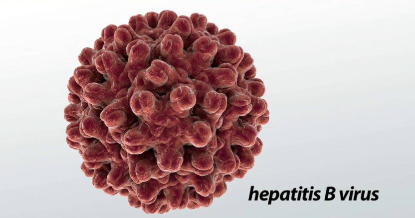 Hepatite B: sintomas, tratamentos e causas - EP Human