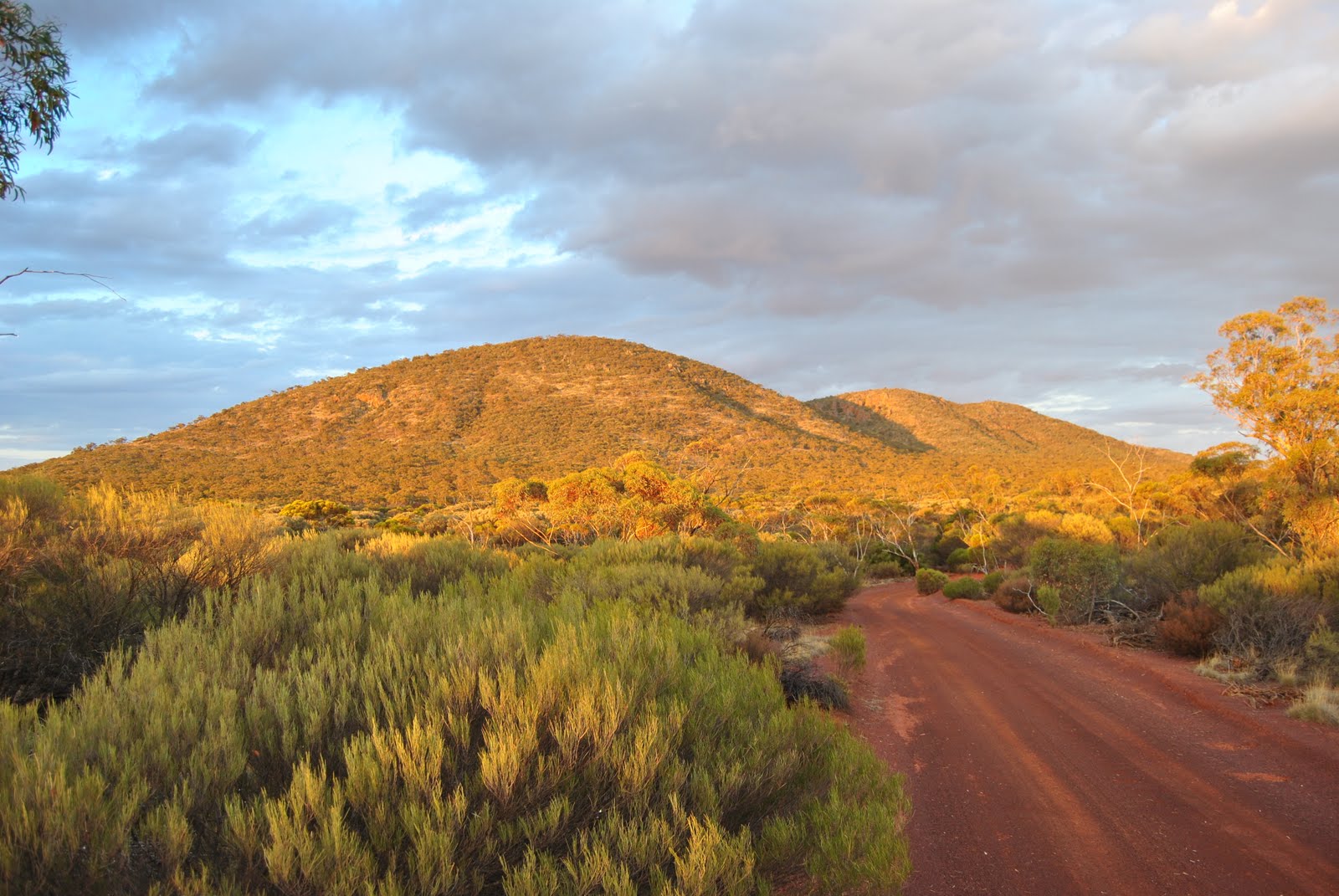 Save the Helena & Aurora Range