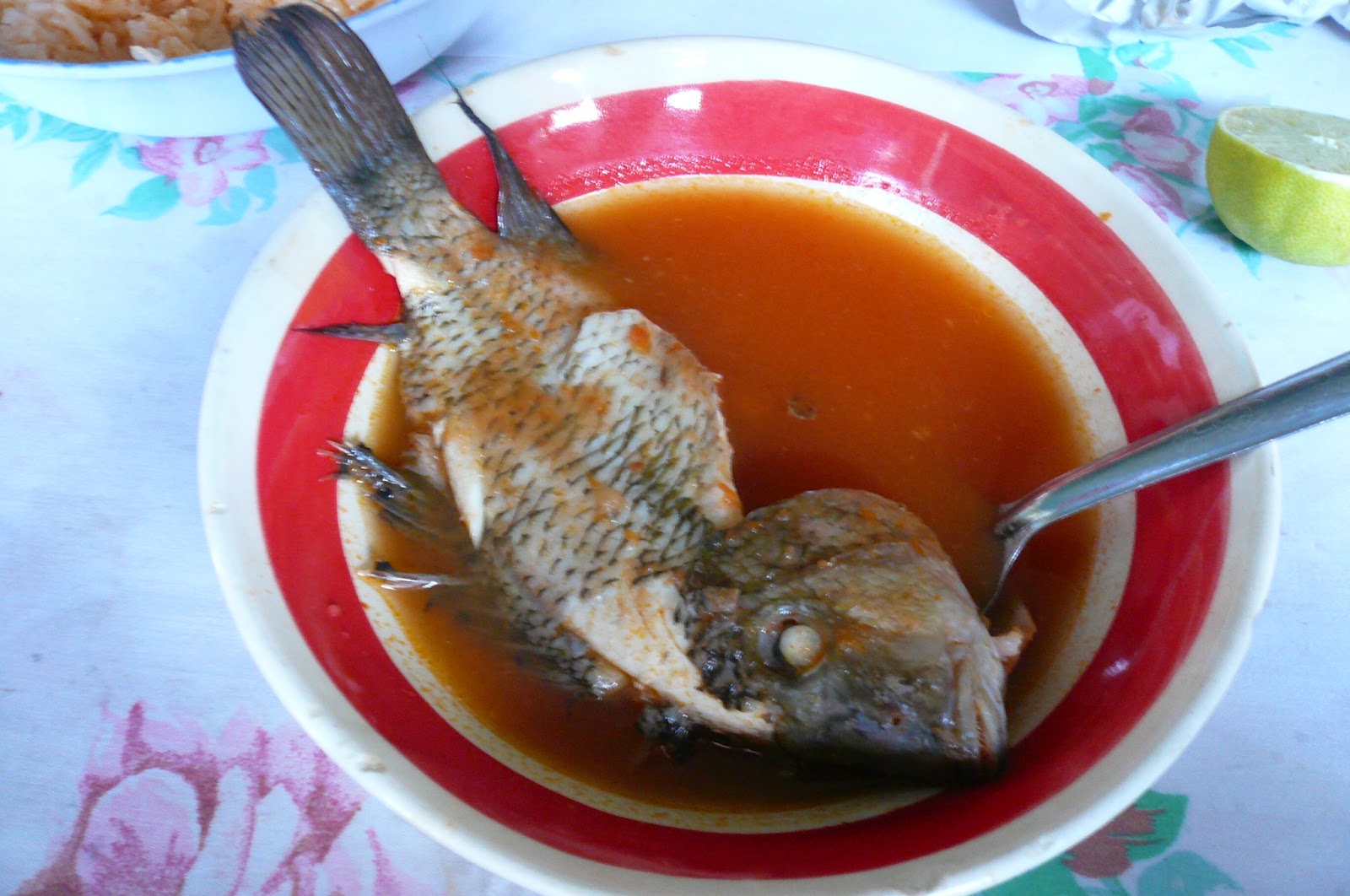 Elder R. Jake Johnston: Jake Eating Fish and Menudo (cow stomach)