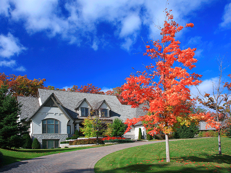 Roof Talk 101 The Best Educational Roof Blog In America: Roof Talk-101 ...