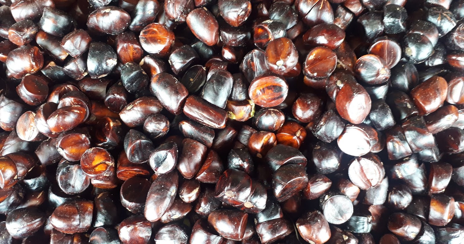 Ongzi's SecretGarden: April 2019