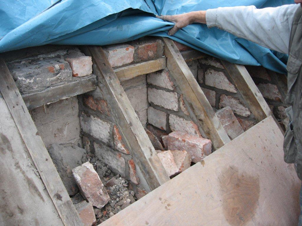 Action for Swifts: Swift's nest in a cramped roof space