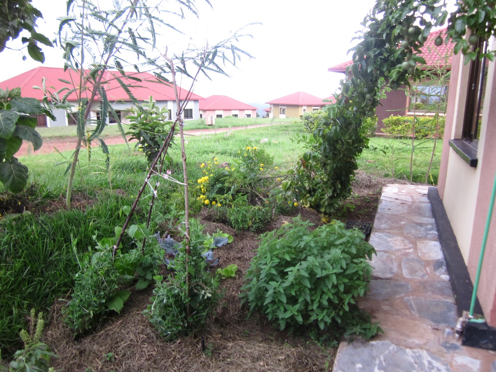 A Garden Love Affair in Rwanda: Gardens and what they say about you...