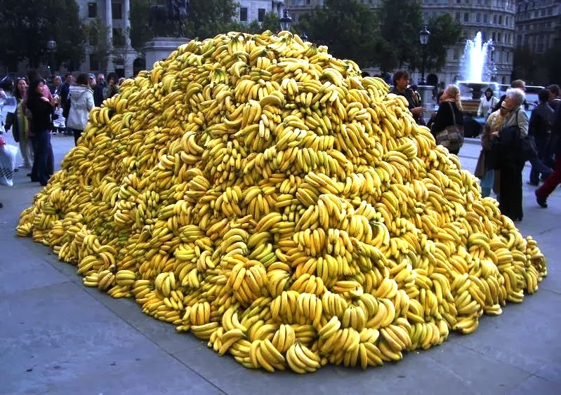 MEDIAN Don Steward mathematics teaching: going bananas