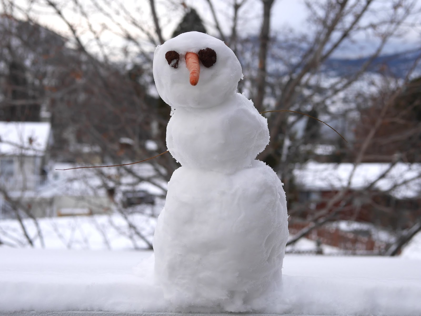 Snow People - Backwoods Mama