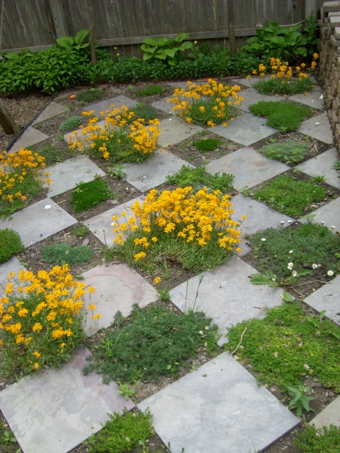 The Checkerboard Garden