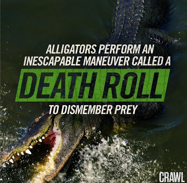 Here's Some Alligator Fun Facts to Make CRAWL Even More Terrifying