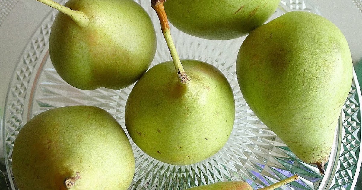 MY KITCHEN IN SPAIN: PEARS, SAYS LEO