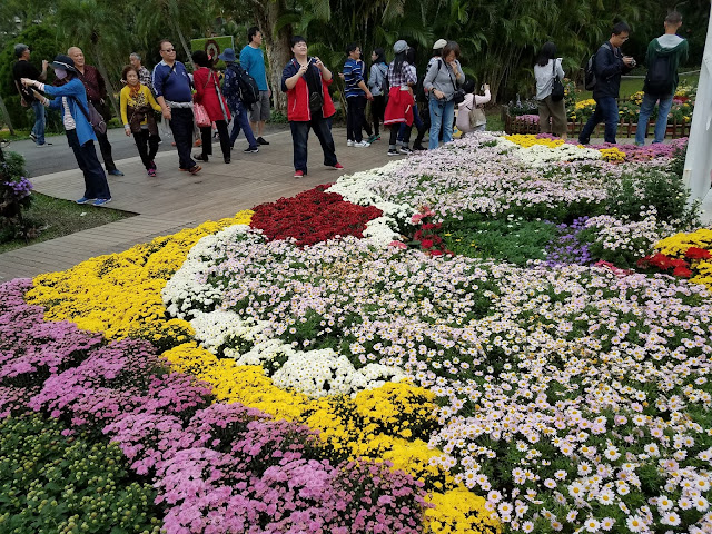 I Brake for Wildflowers!: Taiwan 1. Island of Flowers