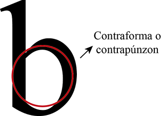 Ivonne Cabezas ST: Entrega anatomía de la tipografía