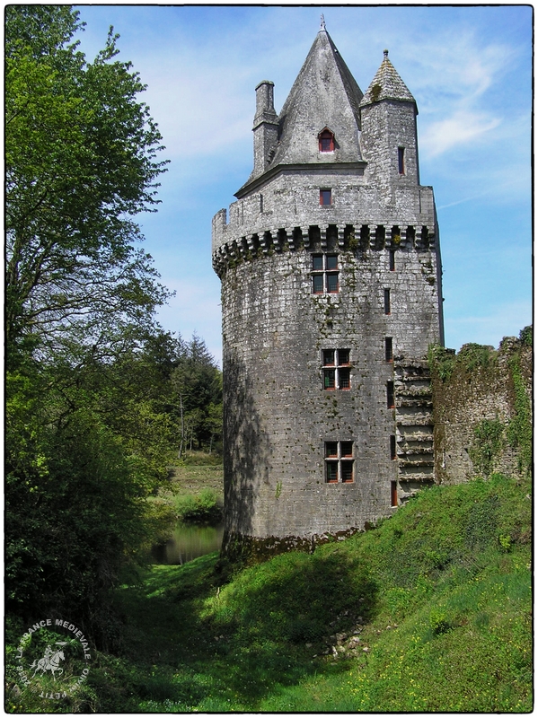 LA FRANCE MEDIEVALE: ELVEN (56) - Château-fort de Largoët : Tour ronde ...