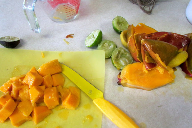 The Mellow Mallow: ~~Mango Chili Popsicles~~