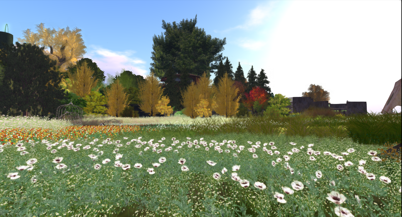 Virtual Dream & Travel: Flower Field