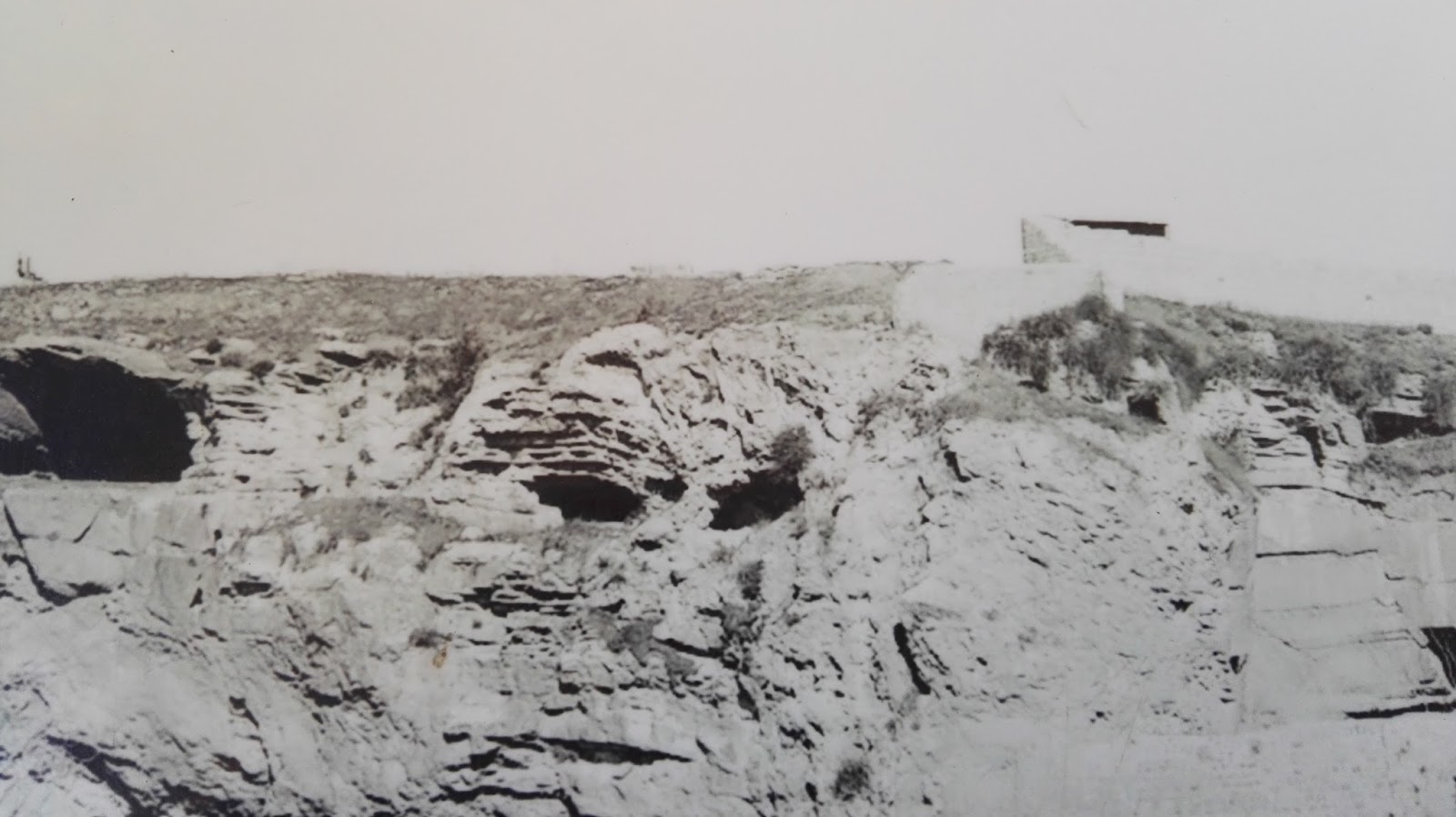 Heavenly blog!: No. 1285: The highlight of visiting Israel - is Gordon ...