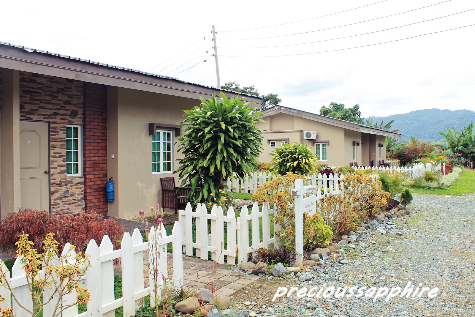 Sabah Young Tourism Ambassadors: Sabah Tea Garden Cottage, Long House ...