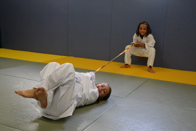 Fenêtres sur Classes - Cycle 2: octobre 2016