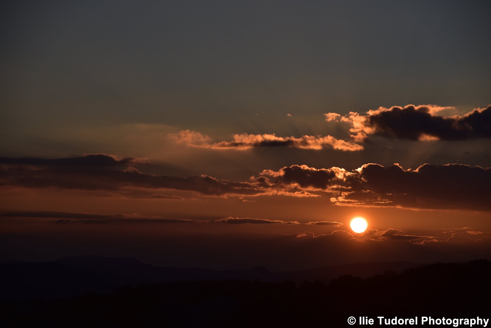 TUDOR PHOTO BLOG: 21 iunie - Ziua Mondiala a Soarelui, 21 june ...