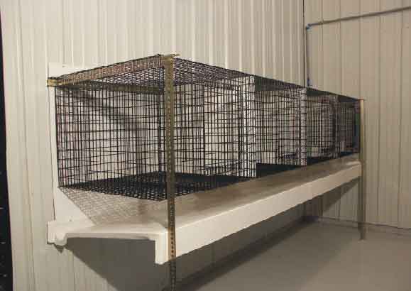 HD Animals: rabbit cage design