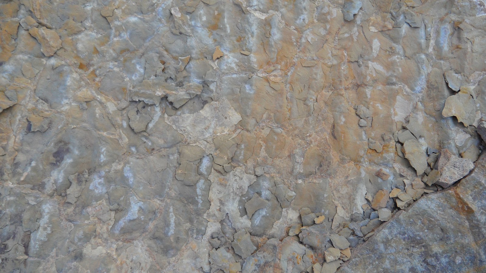 Fossils and Geology of Lanark County, Ontario: Fossil Ripple Marks in ...