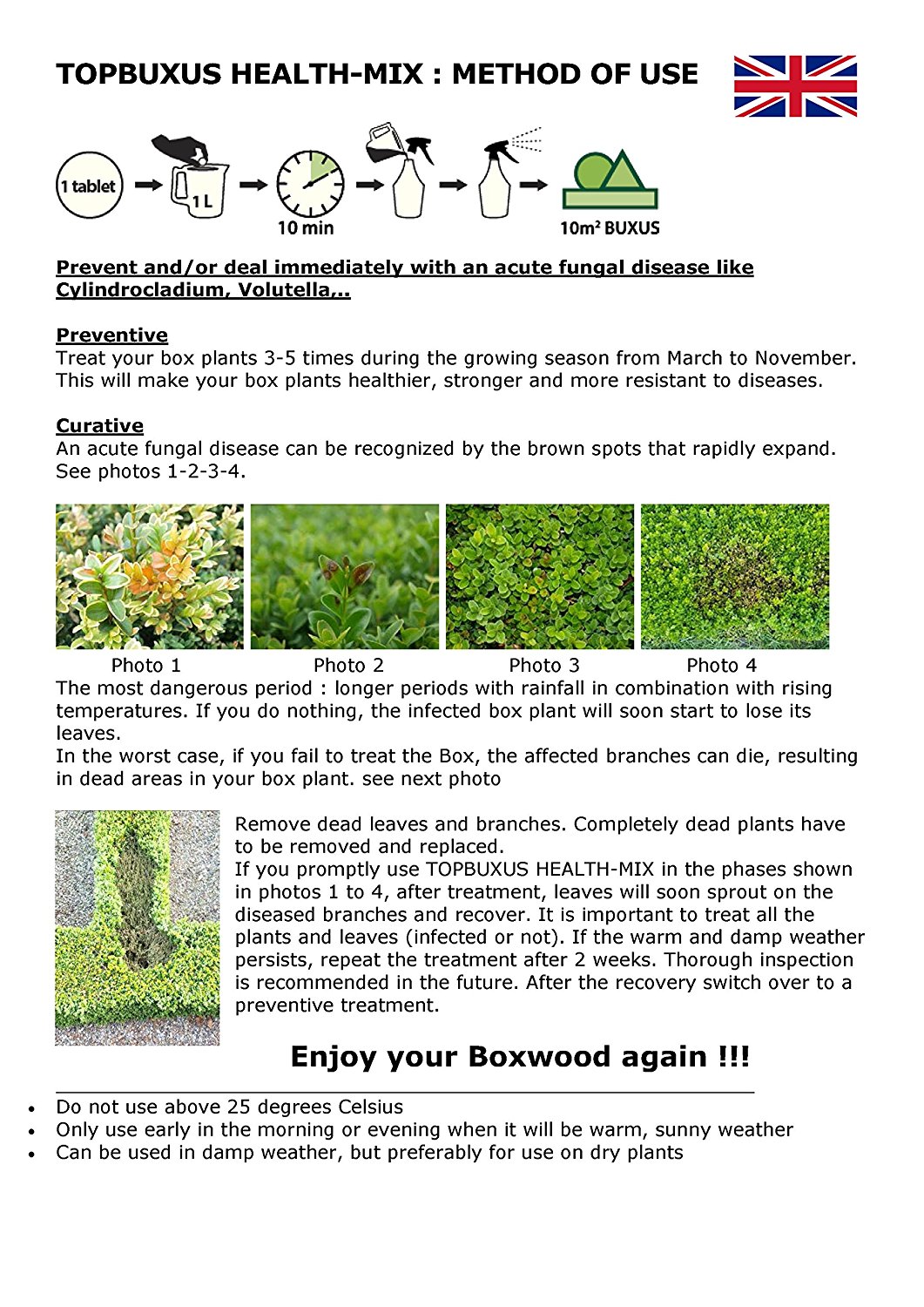 life between the flowers : Brown leaves on Box plants, How to treat Box ...