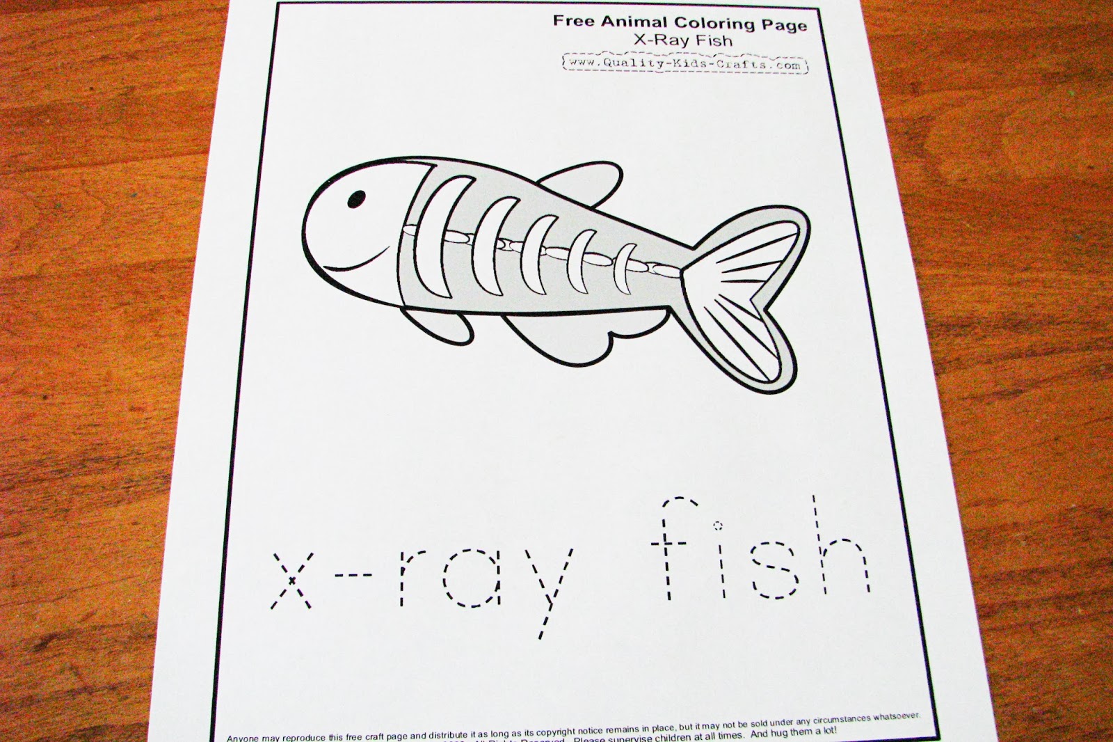 Mommy's Little Helper: Letter X/X-Ray Fish Preschool Theme