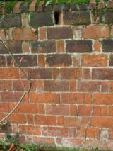 Construction Updates: BRICKS