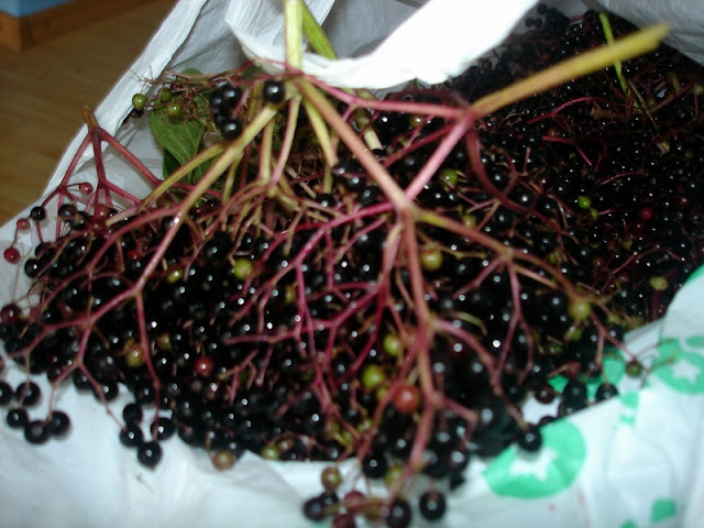 Hrana cea de toate zilele. Viata la tara: Dulceata din fructe de soc