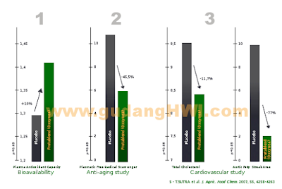 Frutablend HWI Original | Health Wealth International